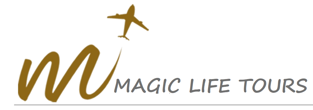 Magic Life Tours